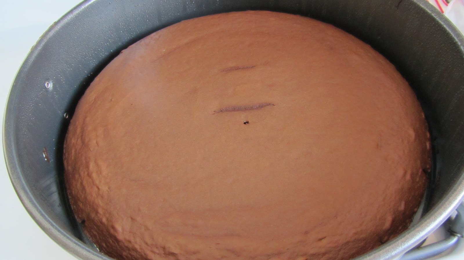EAT WELL NATURALLY: EASY CHOCOLATE TOFU CAKE