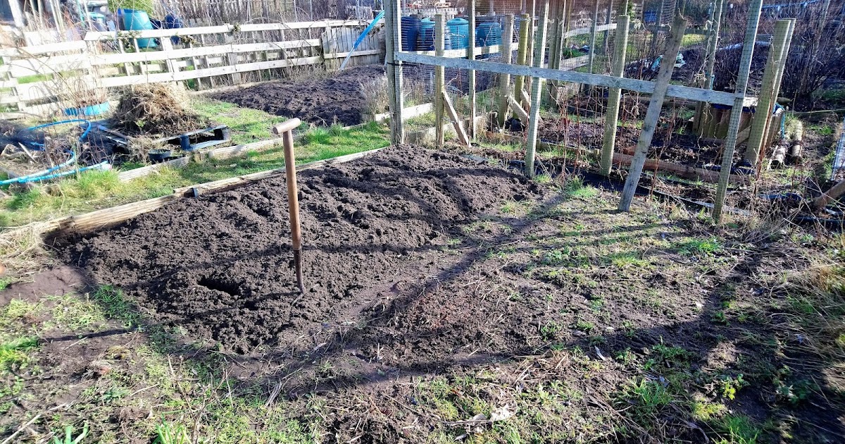 Allotment #65: Three days of half term on the plot