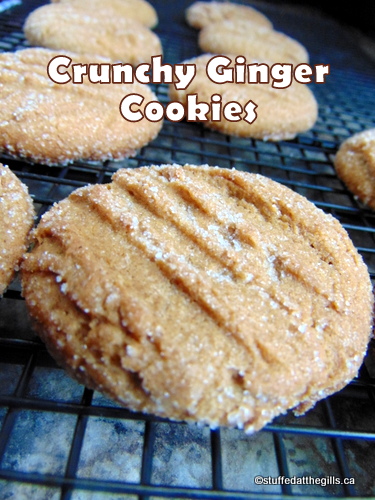 Crunchy Ginger Cookies