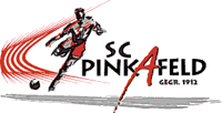 Um Grande Escudeiro: SC PINKAFELD-AUT: LOGO DE 100 ANOS