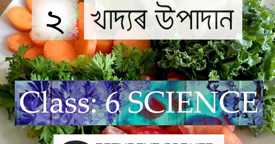 Lesson 2 Class 6 Science Assamese Medium SCERT lesson-2-class-6-science-assamese-medium-scert