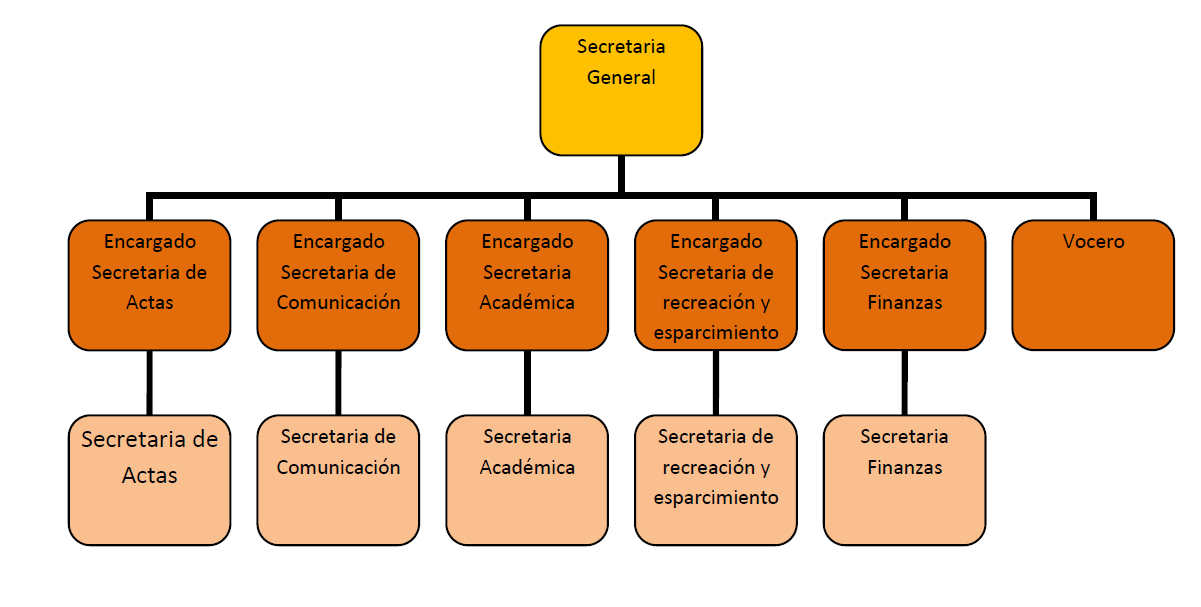 Red de Estudiantes de Sociología de Chile: 2013