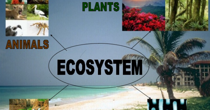 The English, Natural Science, Social Science and Arts Blog: Unit 2 ...