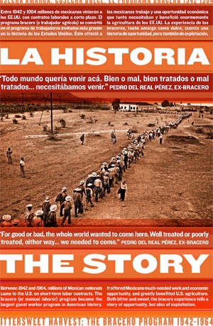 Palomino Productions: The Bracero program & Mexican farm workers in the ...