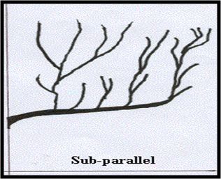 Macam-Macam Pola Pengaliran Sungai - Klik Geografi