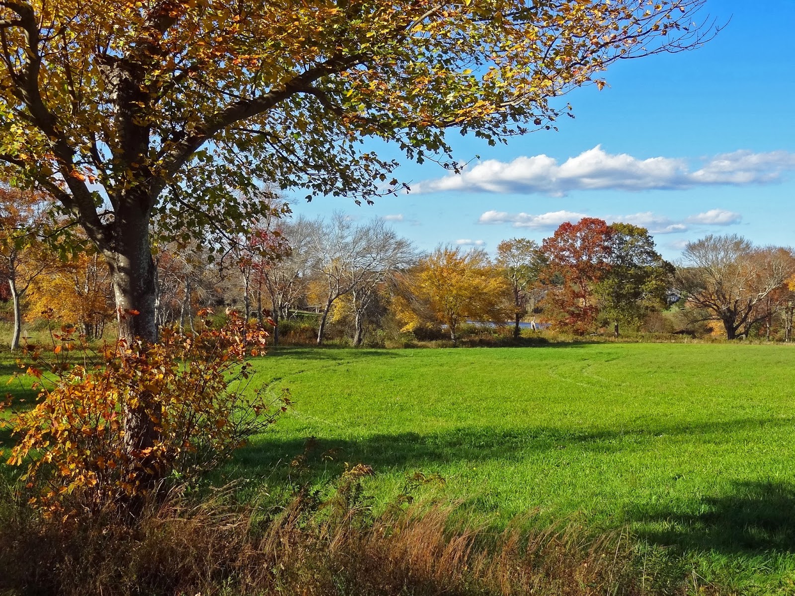 Joe's Retirement Blog: Fall, Old Sandwich Road, Plymouth, Massachusetts ...