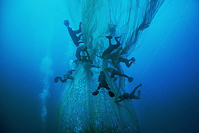 -: Human Planet: Oceans-into the Blue