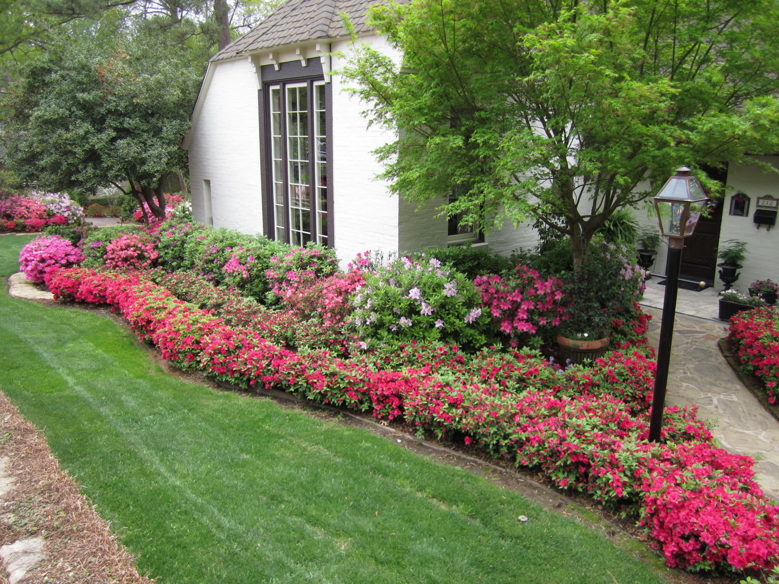 Roses and Other Gardening Joys: Azalea Trail Highlights