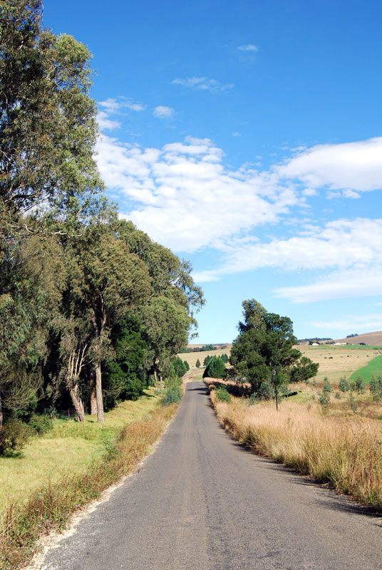 Sunee Sees the World: Meandering Through the Midlands