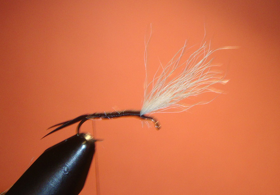 ~StreamSide Tales~: Mutant Stonefly tute