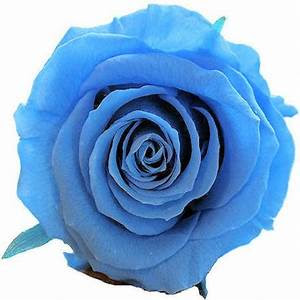 John Michael Cummings - American novelist and short story writer: In ...