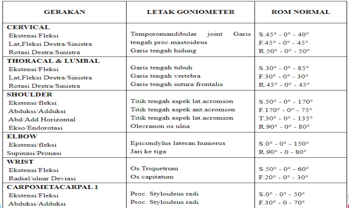 Pengukuran ROM: 2019