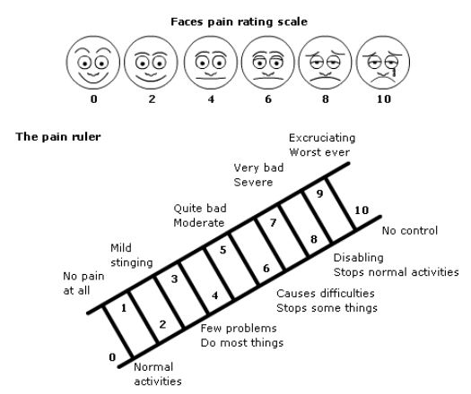 Adult Emergency Medicine