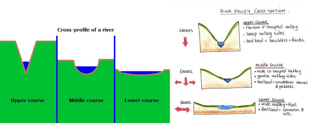 Social Science: 2017