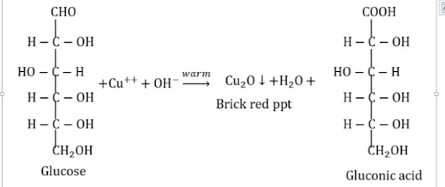 6 Facts About Fehling's Test ~ CHEMISTRY