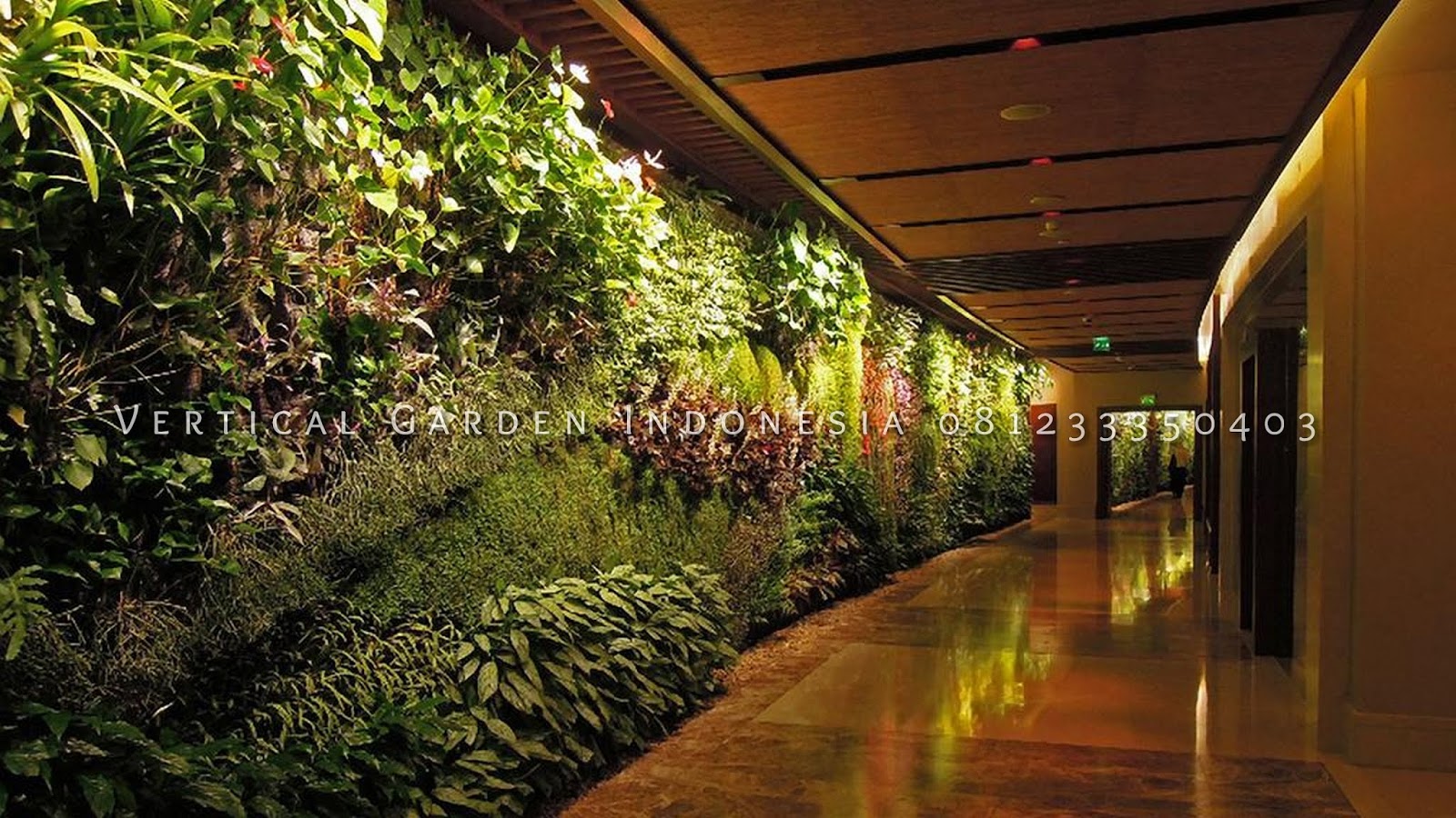 Jasa Pembuatan Taman Vertical (Vertical Garden) Di Bogor Dan Sekitarnya ...