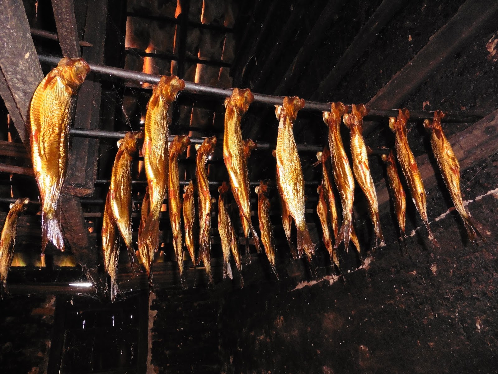 Wiep Koehoorn: Familiedag 2015 in het Zuiderzeemuseum van Enkhuizen