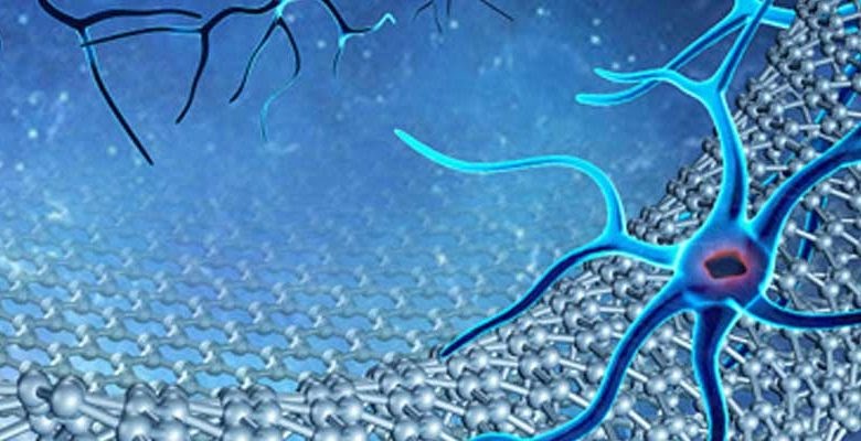 The Ultimate Guide To Biomaterials