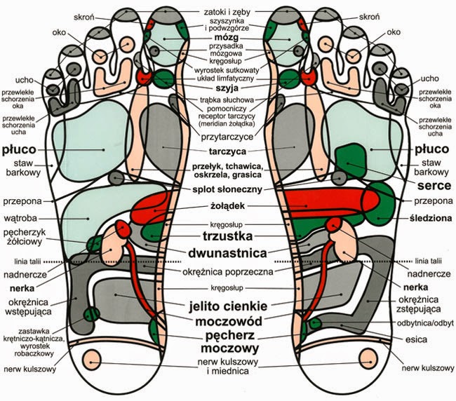 REFLEKSOTERAPIA - przez stopy do zdrowia: Refleksoterapia
