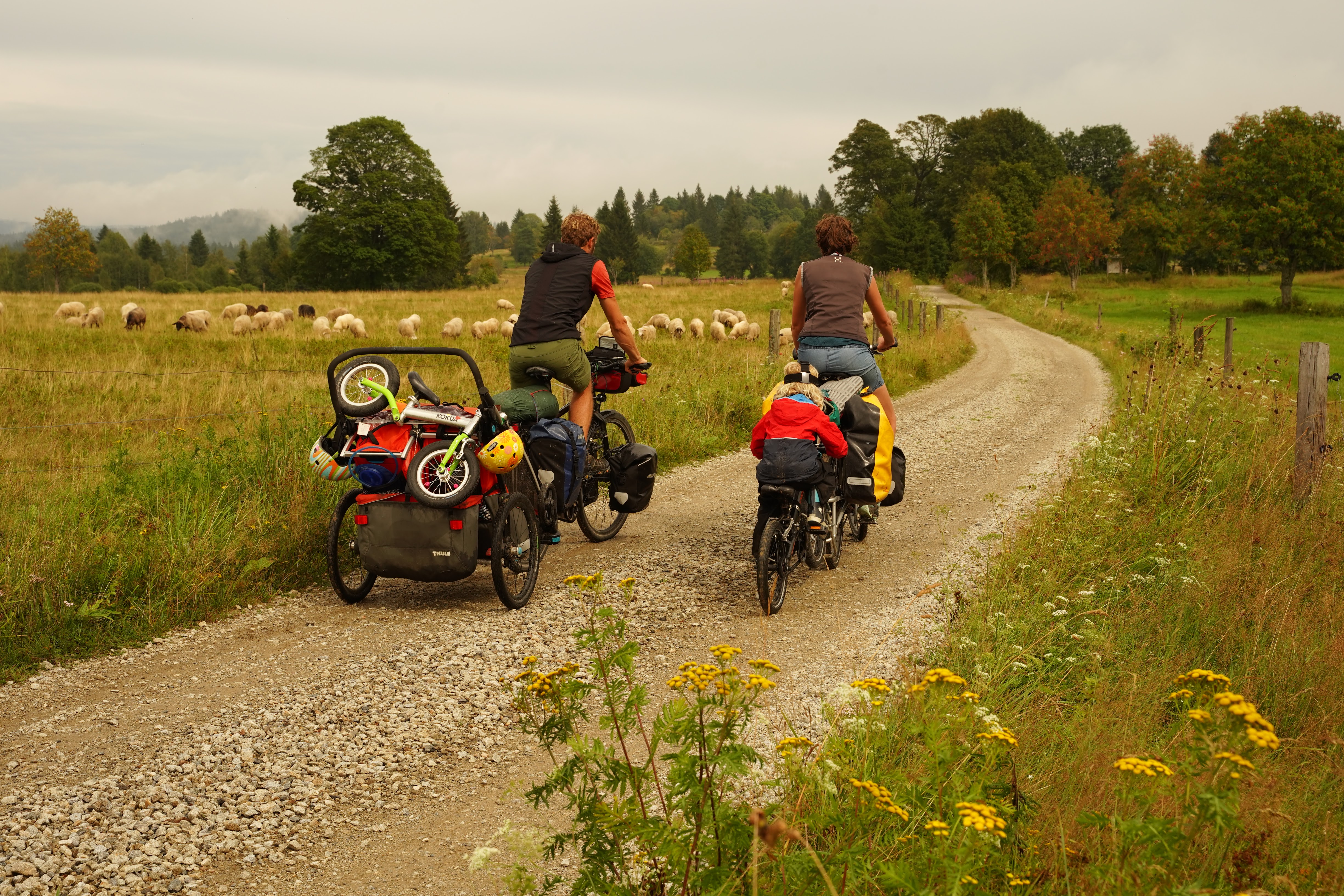 Samen op avontuur: Fietstrekking Sumava National Park (Tsjechië)