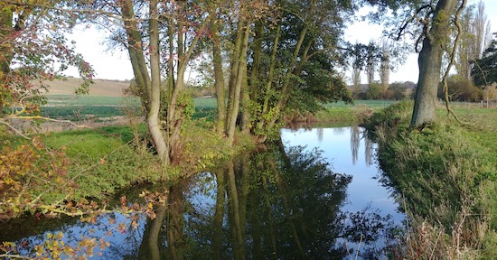 Hertfordshire Walker: Walk 91: The Wadesmill East Loop