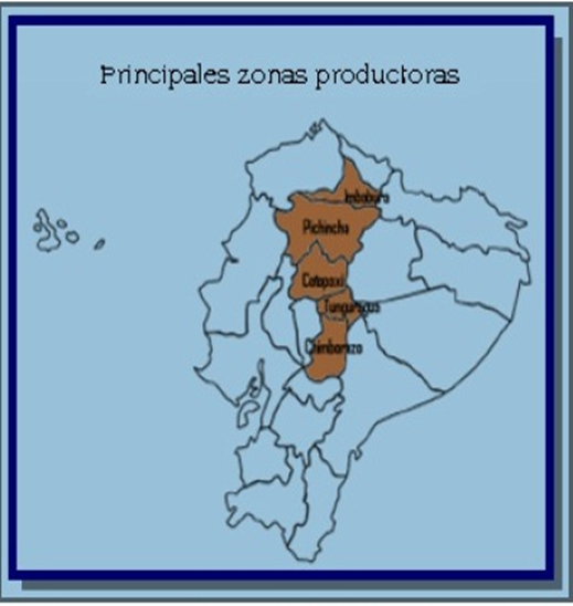 Quinua Ecuador: Historia de la Quinua.