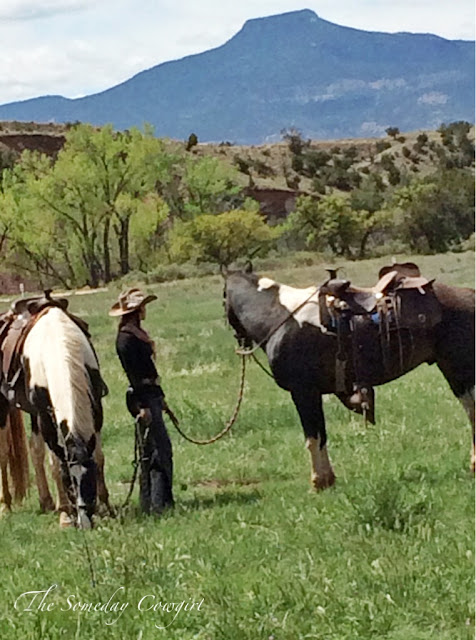 The Someday Cowgirl: Meanwhile...Back at the Ranch