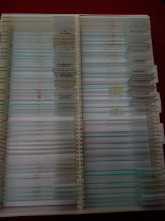 PIRANTI PREPARAT | Laboratorium IPA Terpadu