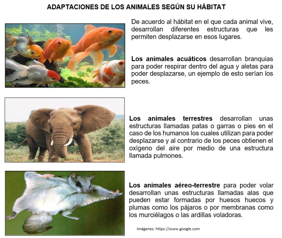 GENIOS DINÁMICOS : abril 2021