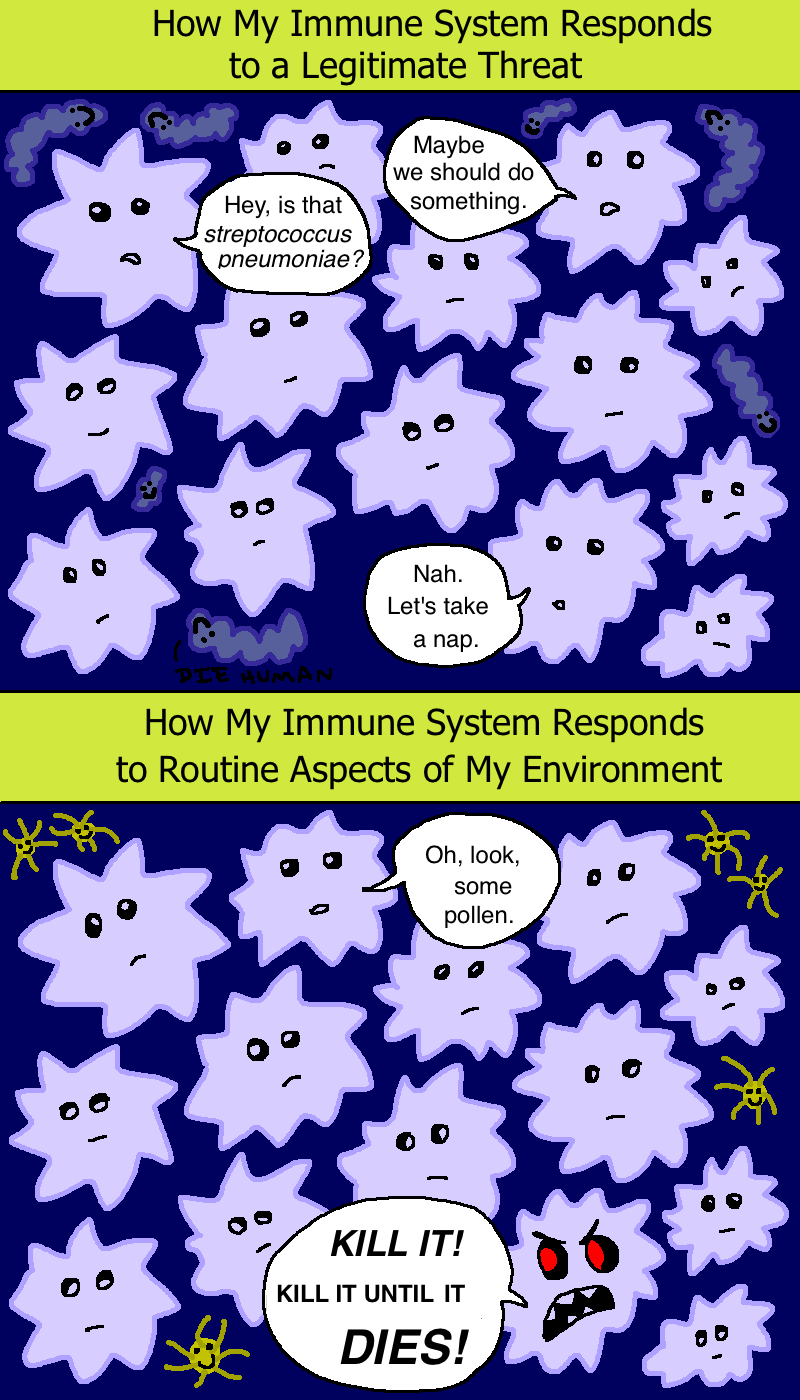 Haley's Comic: June 2012