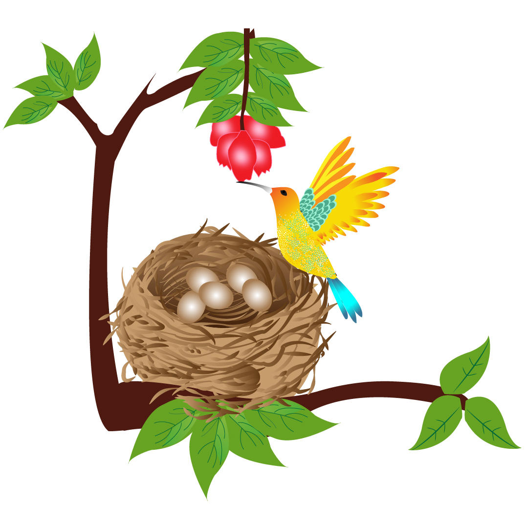 Vectors / Illustrations