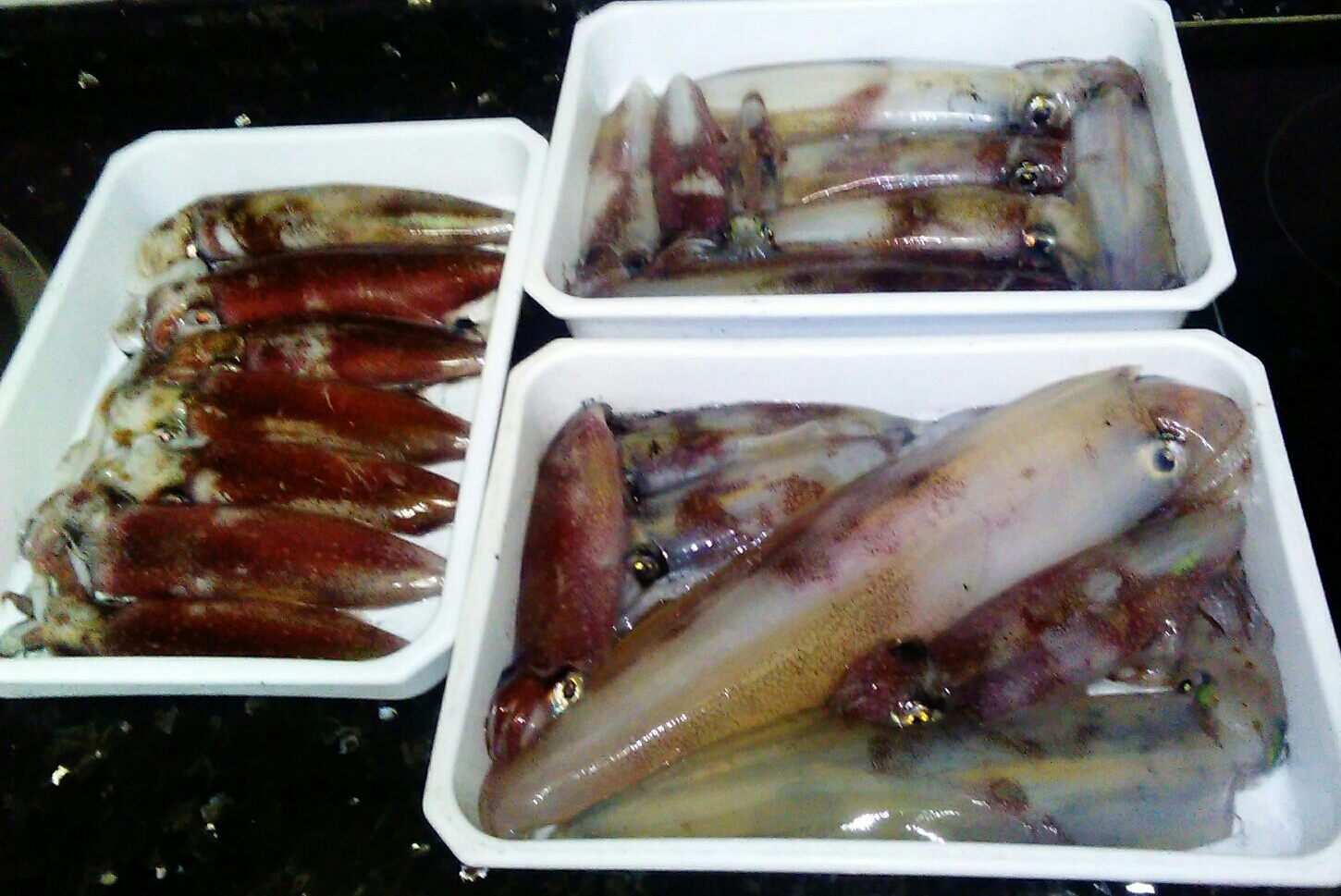 Xelaya-Gijon Poteras Artesanas de Asturias