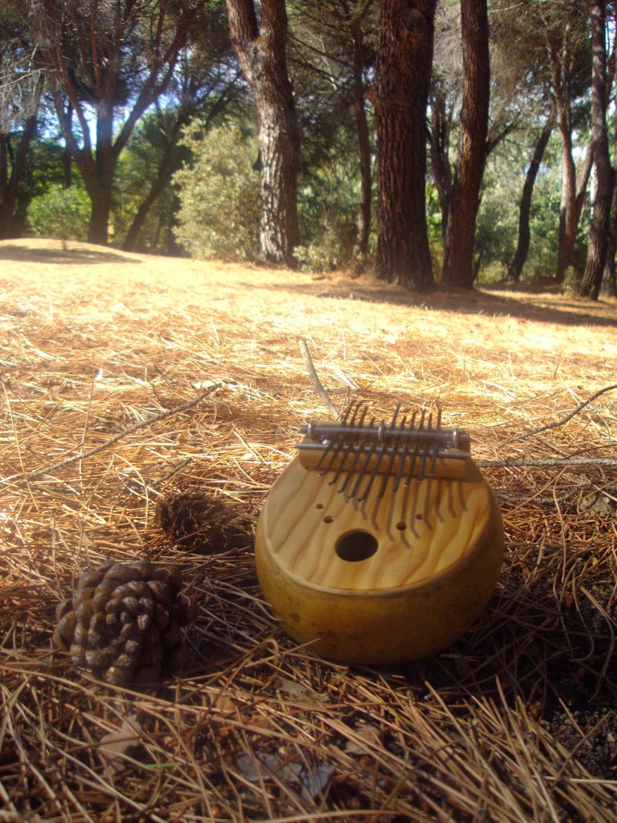 Tras la senda de los ancestros: La Kalimba, un instrumento musical ...