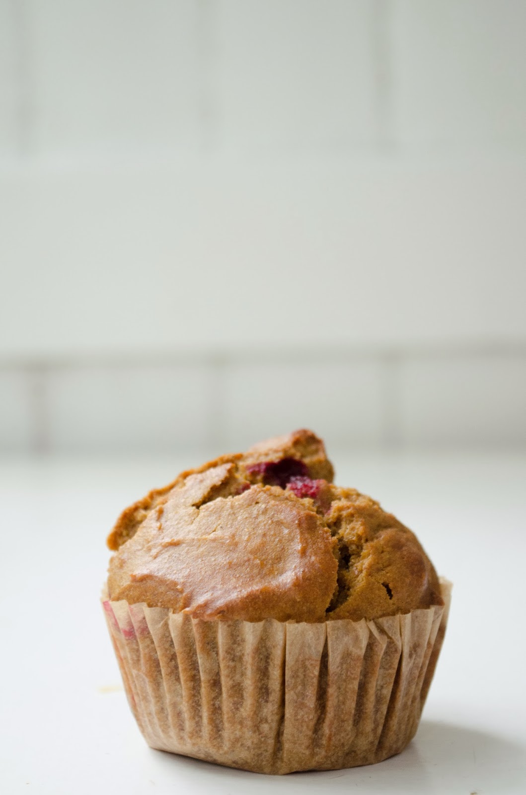 Aesthetic Fauna: Speculoos Cranberry Pumpkin Muffins