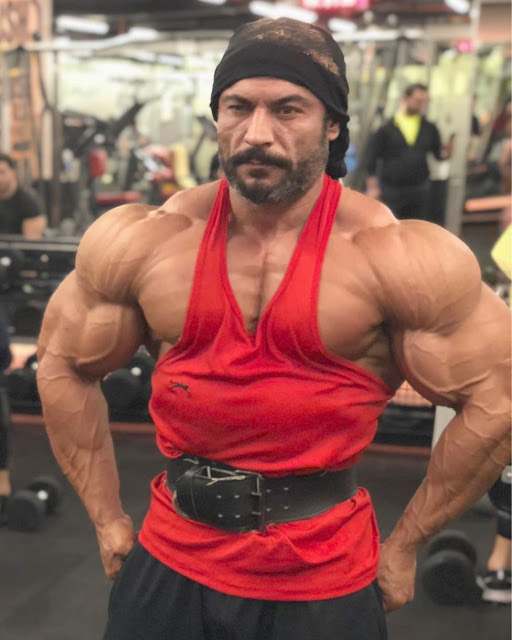 world bodybuilders pictures: turkey boydbuilder Mahmut Irmak