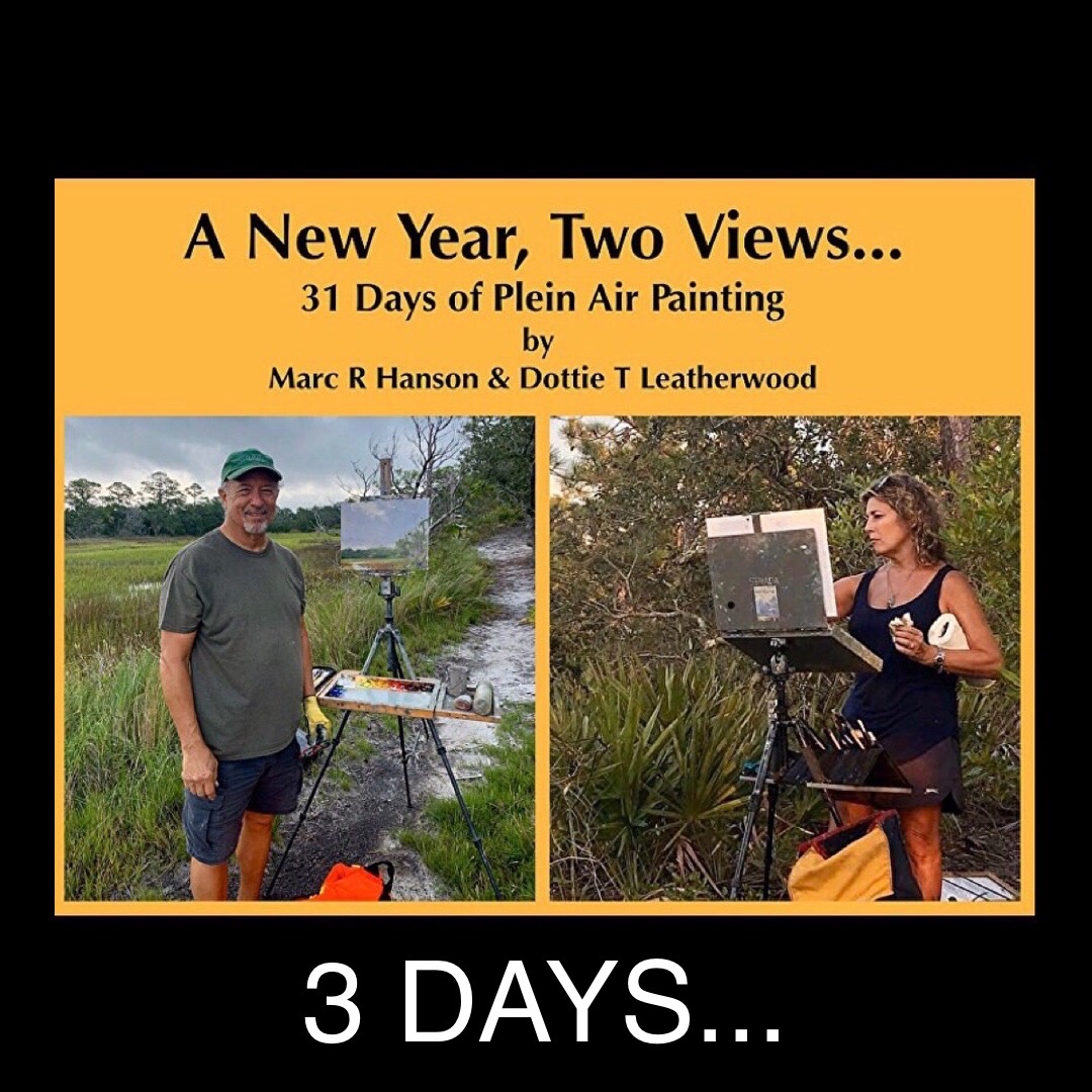 Salt Marsh Studio : 2019