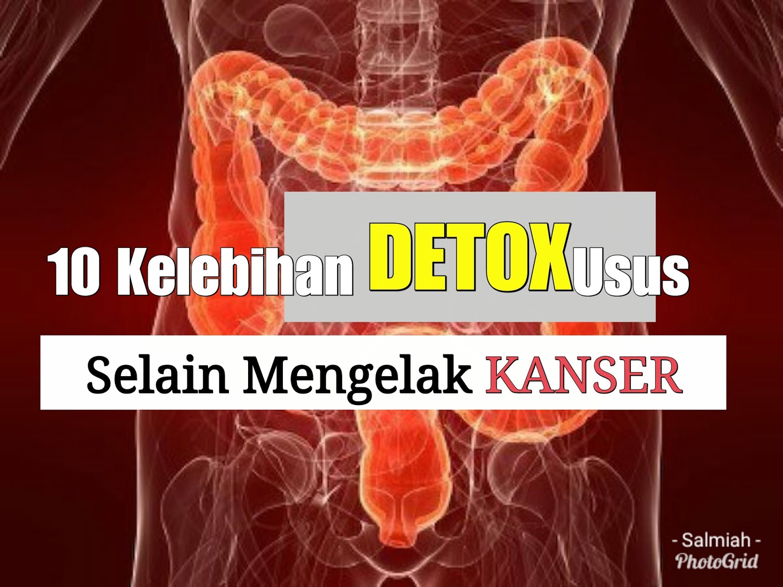 Cara Nak Cegah Toksin Dalam Usu - BrentonrosPaul