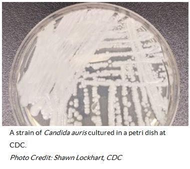 Avian Flu Diary: CDC Update: Candida Auris - July 2017