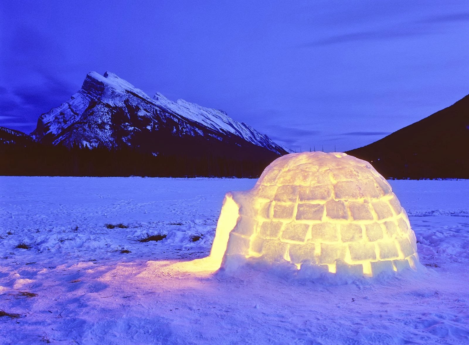 MissK's World...: My igloo
