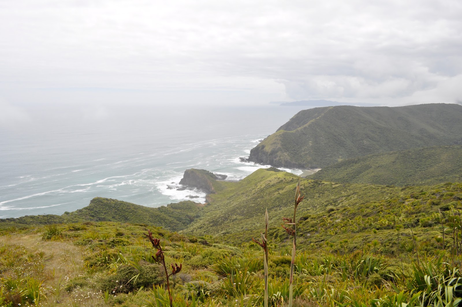 IBM ADVENTURE: Cap Reinga, Northland, Nouvelle-Zélande
