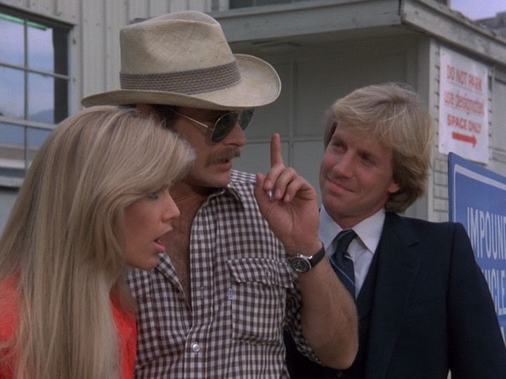 Cult TV Lounge: Simon & Simon, season one (1983-84)