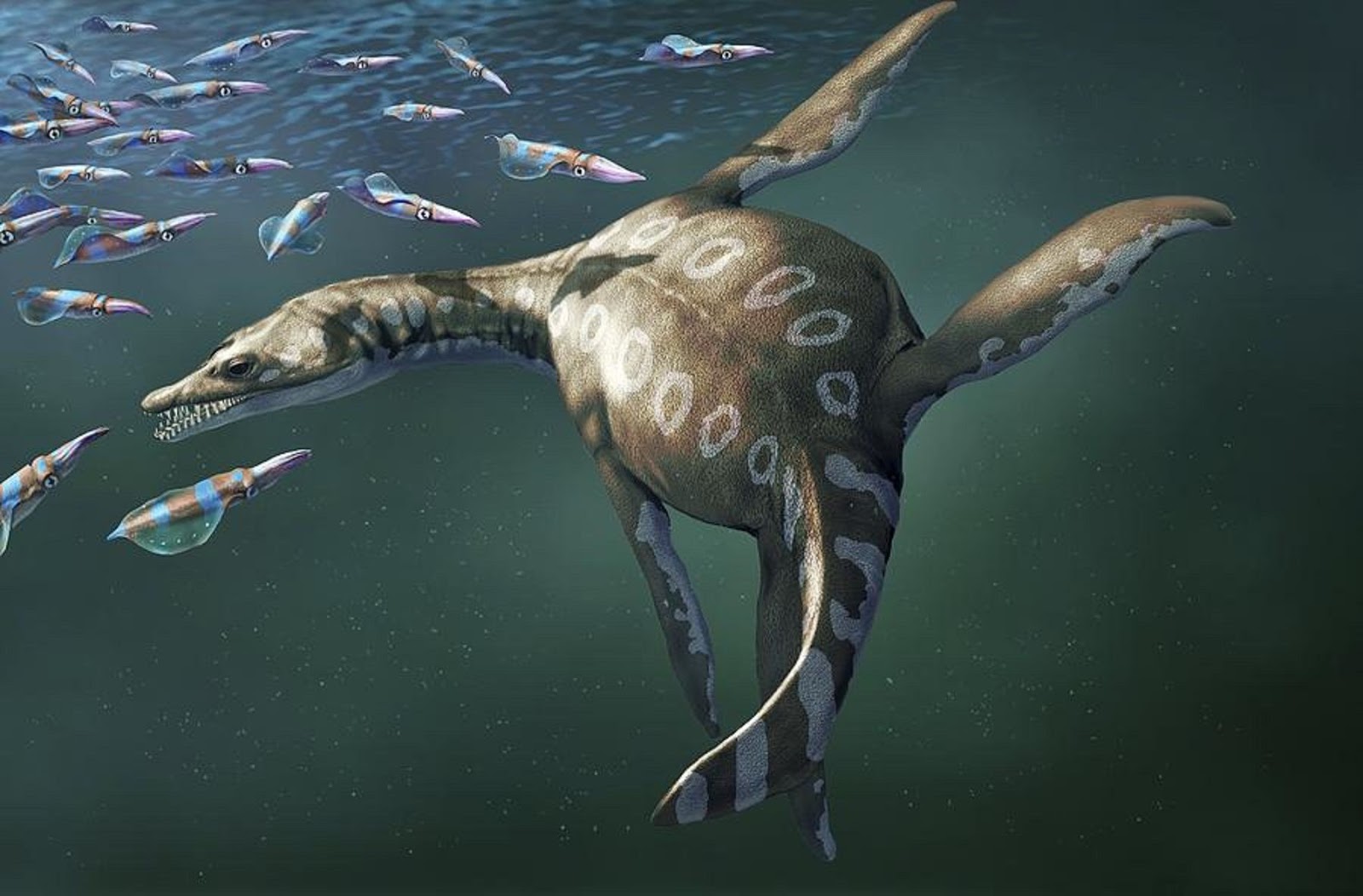 a mesozoic field guide: The Early Jurassic