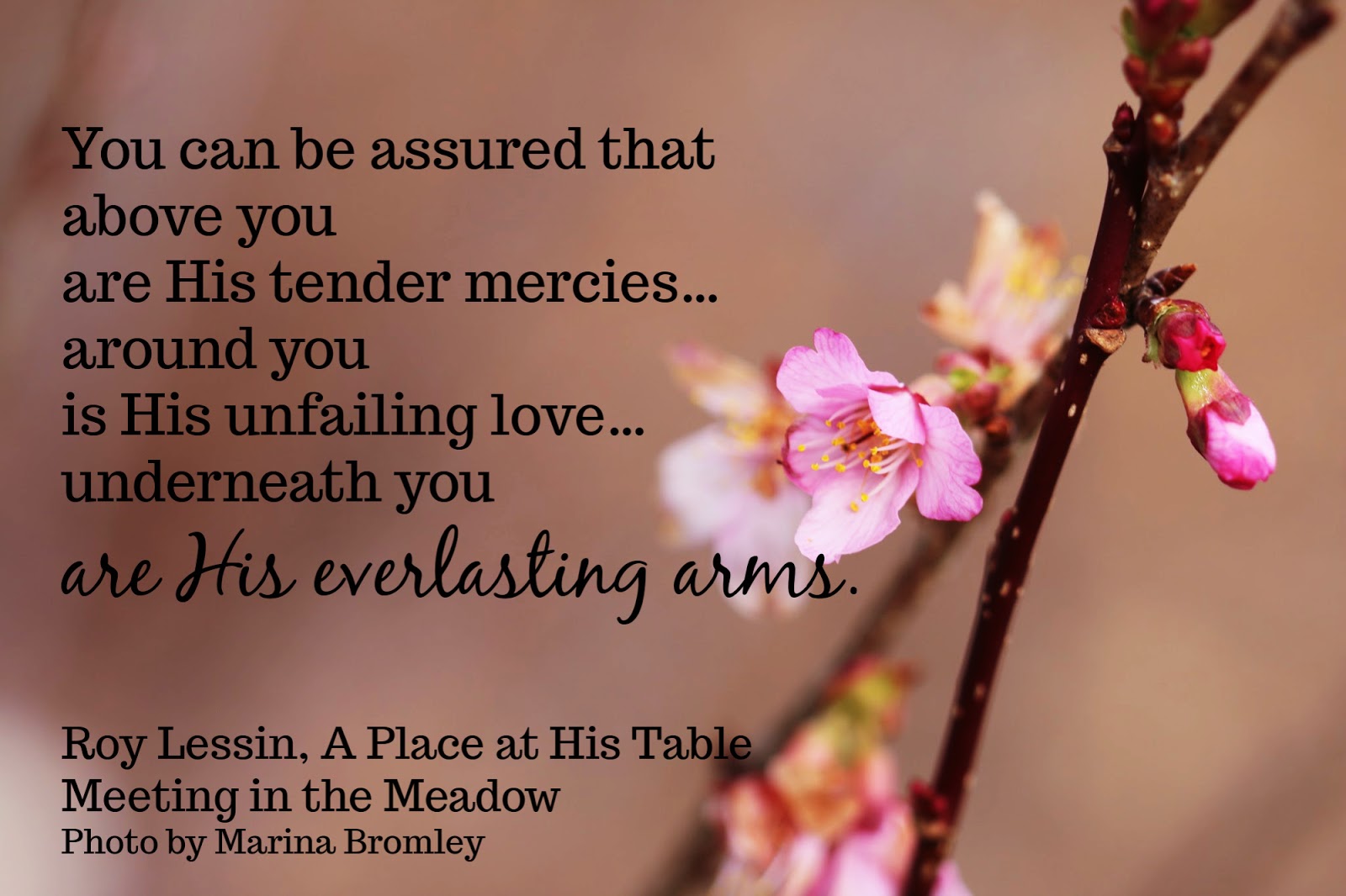 Meeting in the Meadow, by Roy Lessin: God Will Comfort You