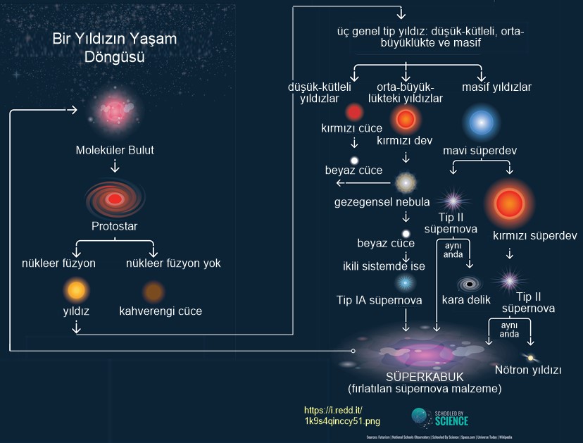 Prof. Dr. Bilsen Beşergil: Yıldız (star)