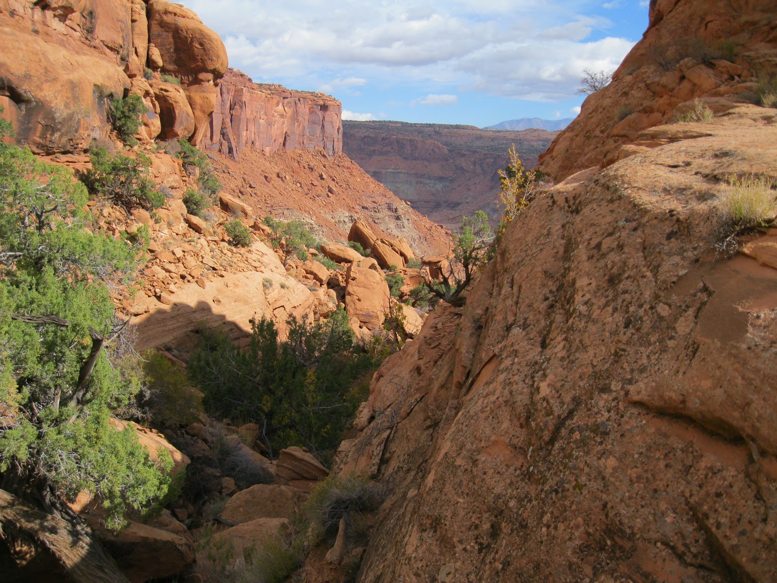 Four Corners Hikes-Canyonlands: Trough Springs Trail in Canyon Rims