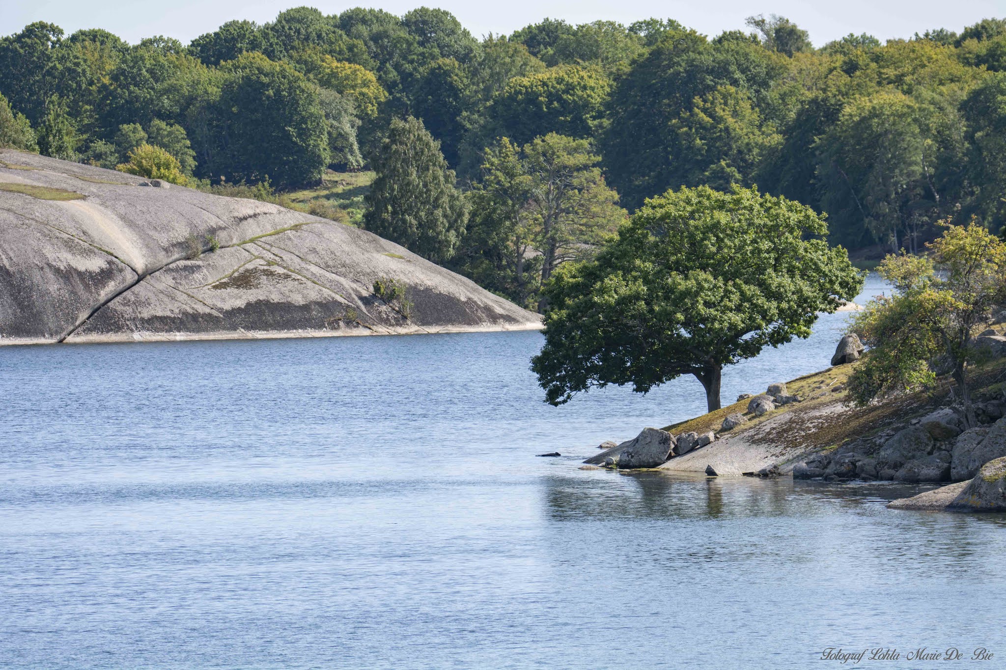 Utflyktochvandringsbloggen.blogspot.com: Safari Eriksberg