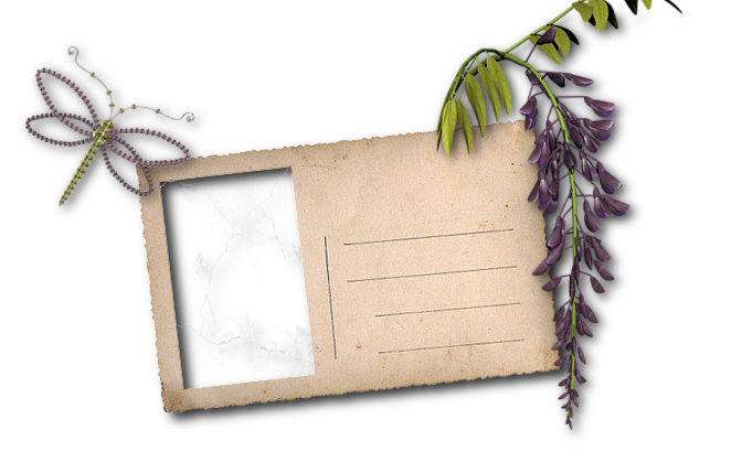 Studio PaisleyCat's Freebie Blog: Headers