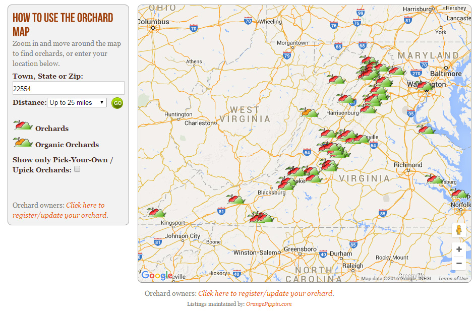 Stafford Gardener: Apple Tree Varieties