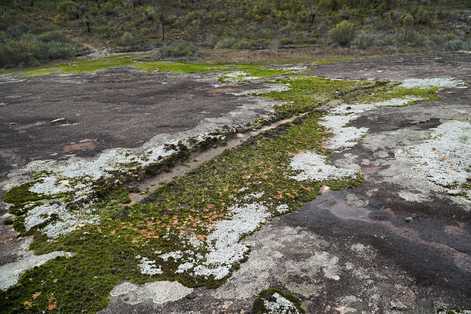 Abyssinia Rock Walk GPS Route (Jarrahdale State Forest) ~ The Long Way ...