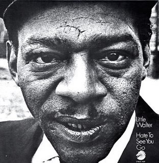 Bman's Blues Report: Hound Dog Taylor and Little Walter